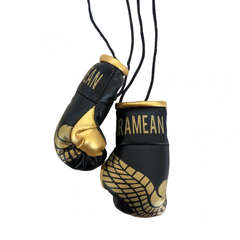 Boxhandschuh – Black – Aram-Online